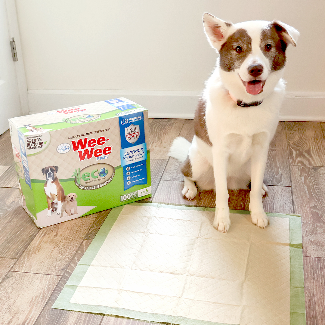 The Proven Power of Eco Pads with Bamboo | Four Paws